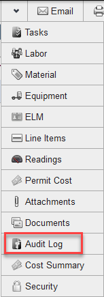View the Audit Log